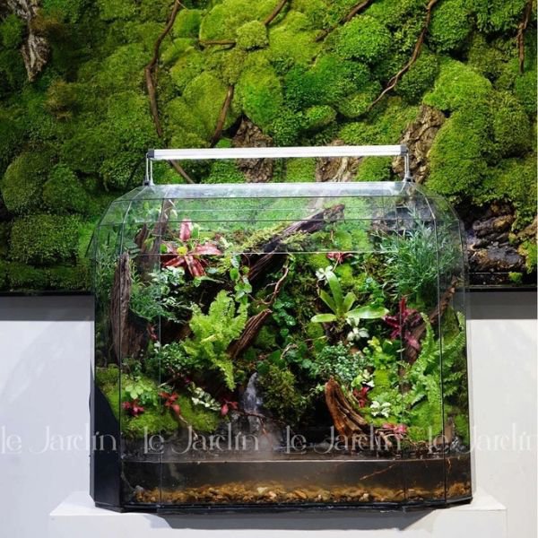 Series - THE SPRING PALACE