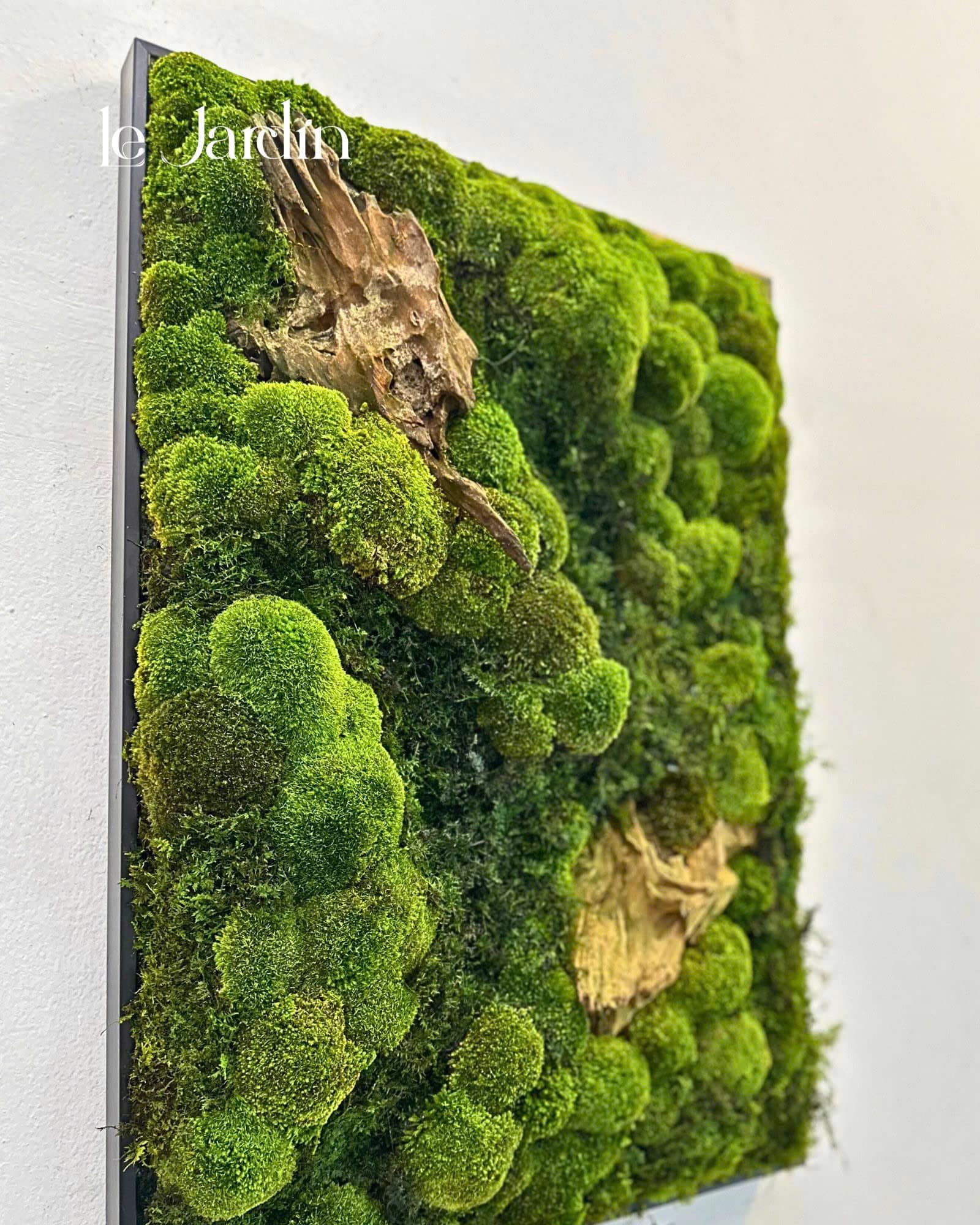 Tranh Rêu – Square Edition – Size 50×70cm