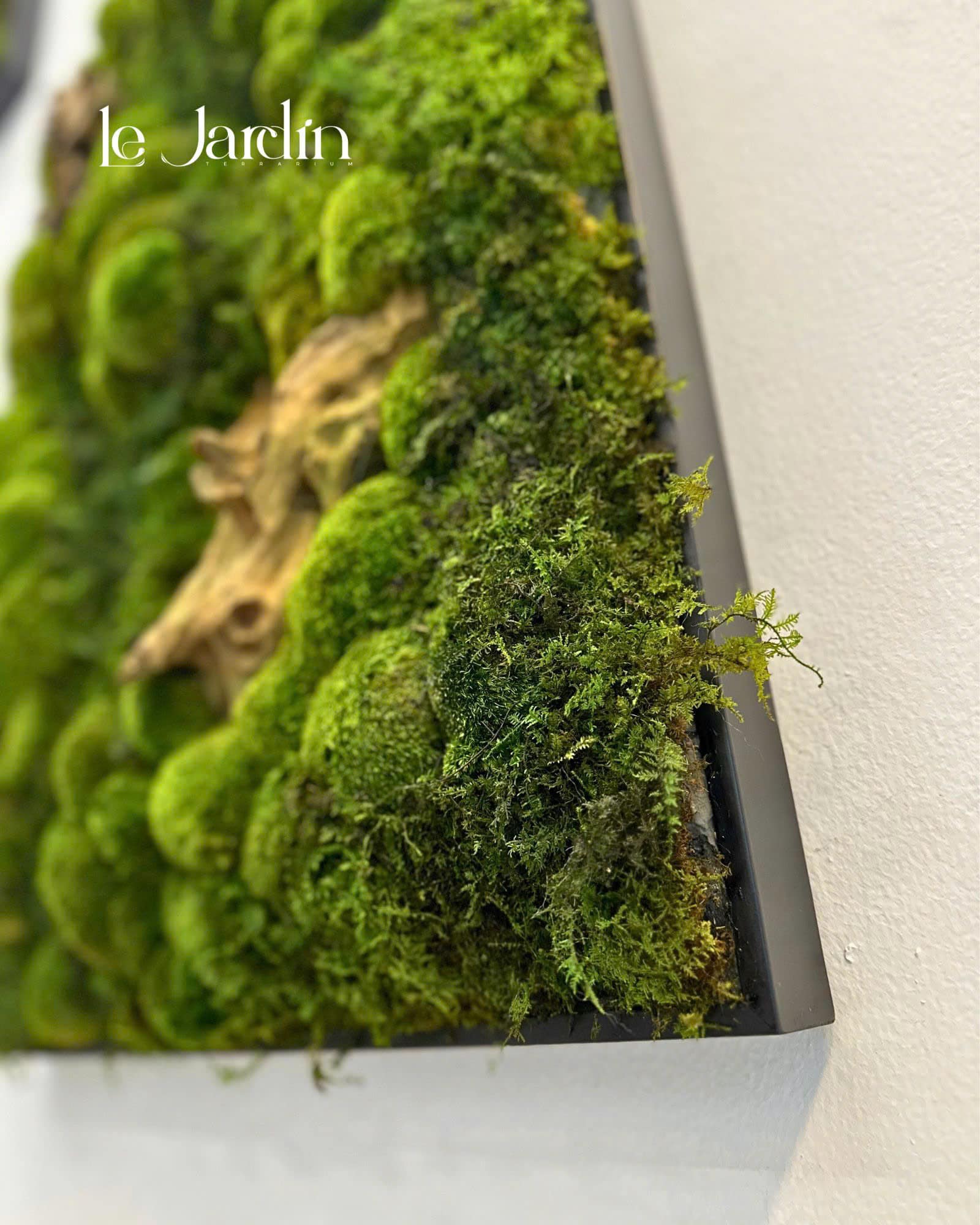 Tranh Rêu – Square Edition – Size 50×70cm